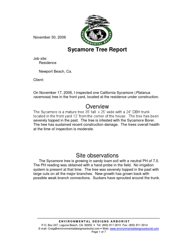 Sycamore Arborist Report 2006 | PDF | Pruning | Trees