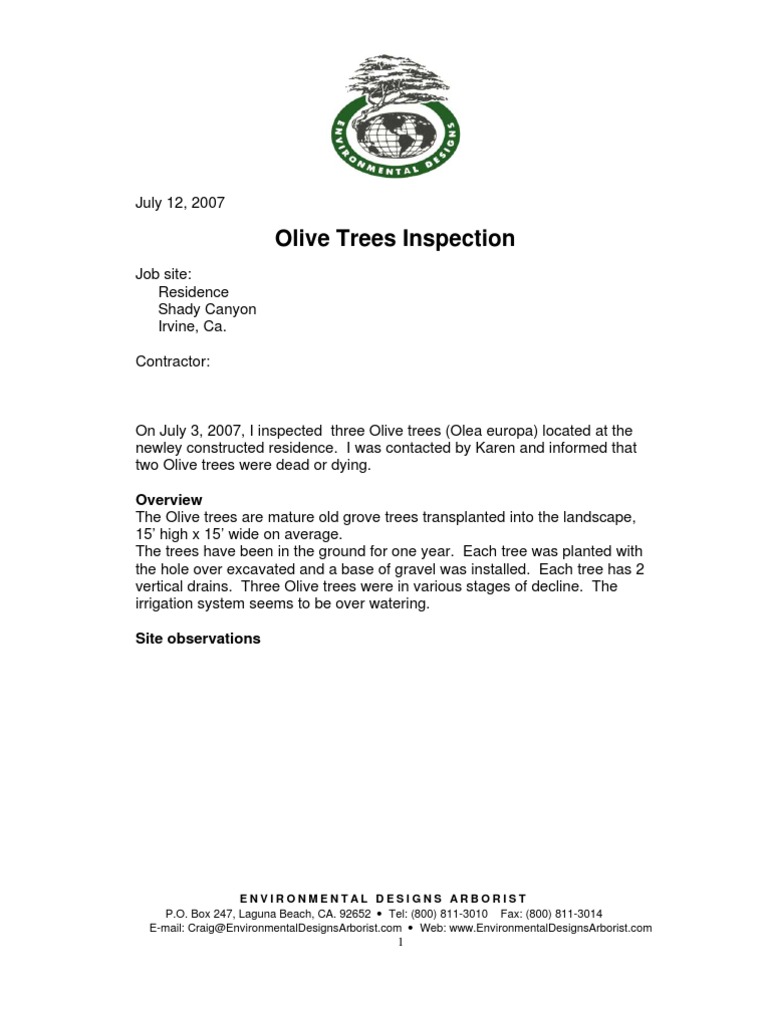 Olive Trees Arborist Report 2007 | PDF | Root | Trees