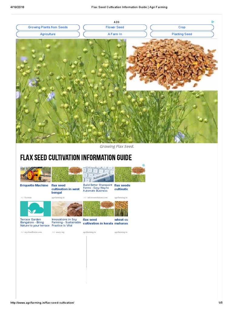 Flax Seed Cultivation - Agri Farming | PDF | Flax | Weed