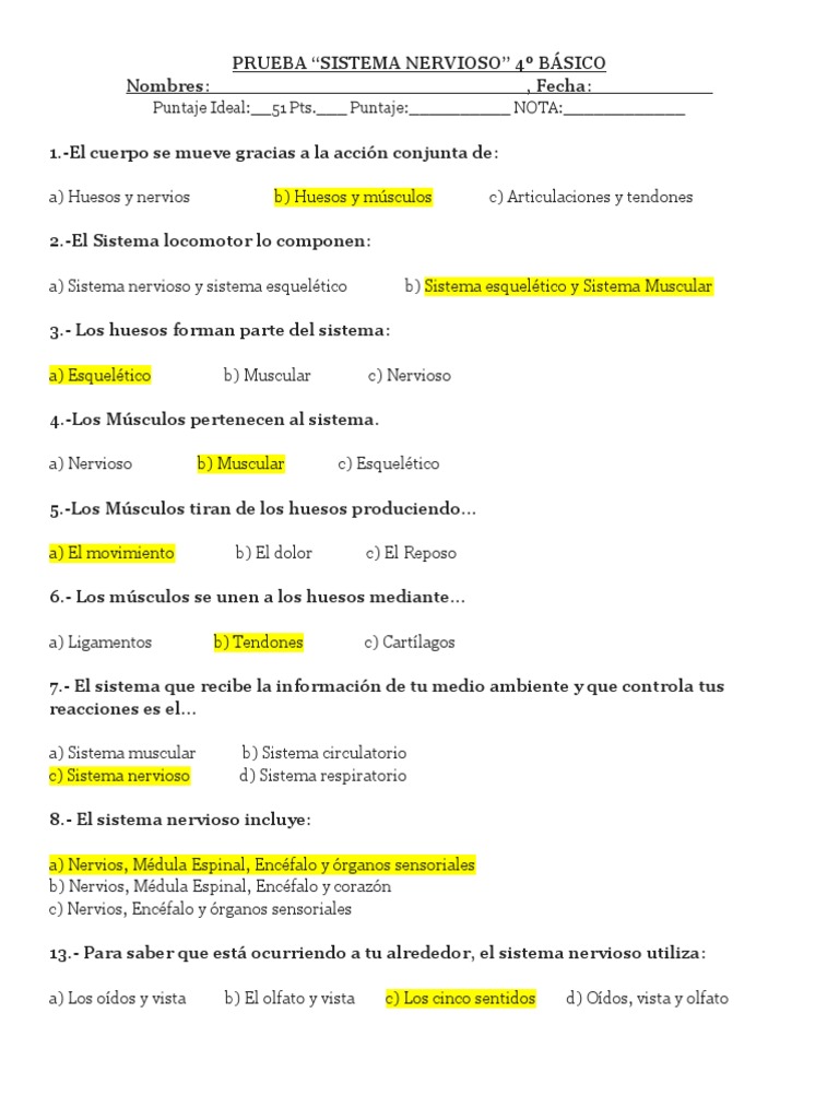 Prueba Sistema Nervioso | Sistema musculoesquelético humano | Sistema ... Prueba Sistema Nervioso | Sistema musculoesquelético humano | Sistema ...