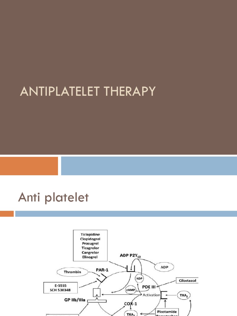 Antiplatelet Therapy | PDF | Pengembangan Diri | Kesehatan Holistik
