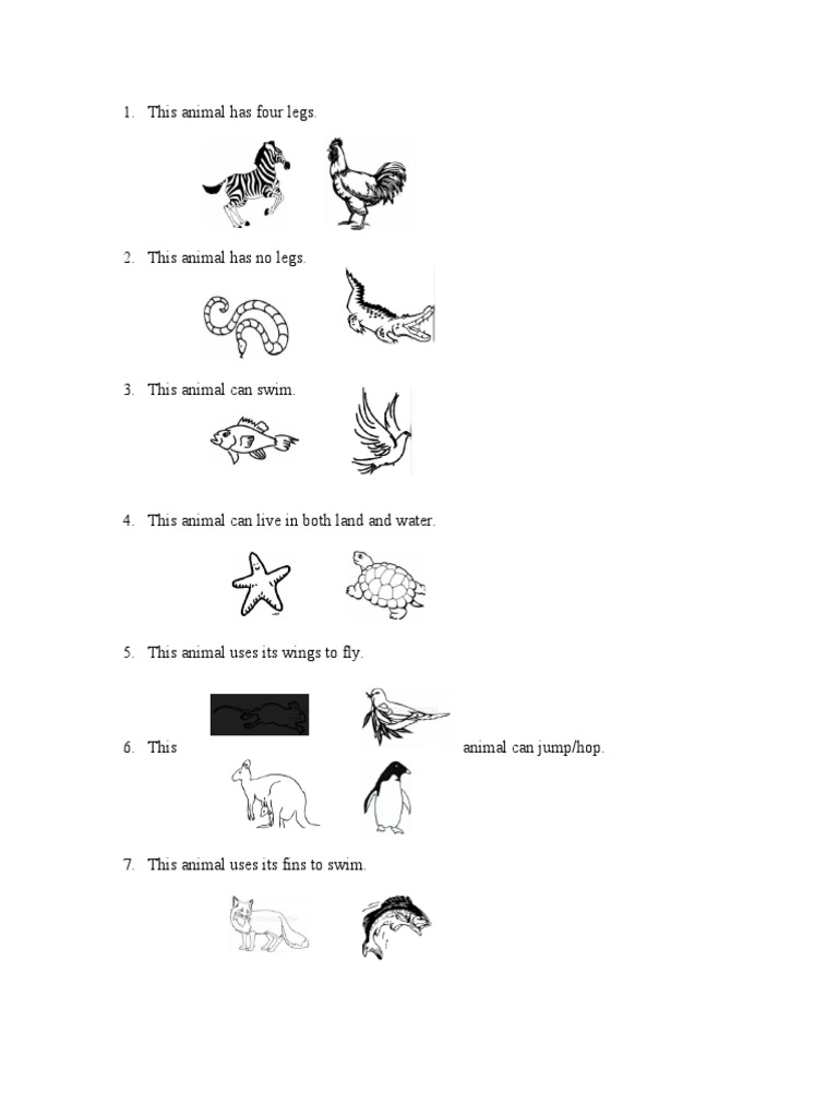 This Animal Has Four Legs | PDF