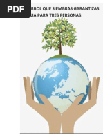 10 Ejemplos de Palabras Homogéneas | PDF | Ocio