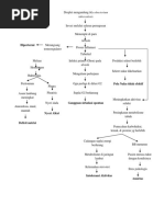 Pathway TB Paru | PDF