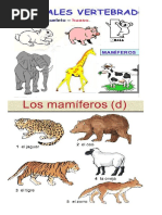 10 Animales que Nadan | PDF
