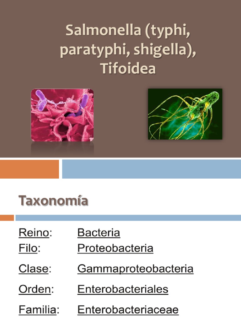 Salmonella Typhi Paratyphi Shigella Zulema1 170526014748 | Salmonela ...