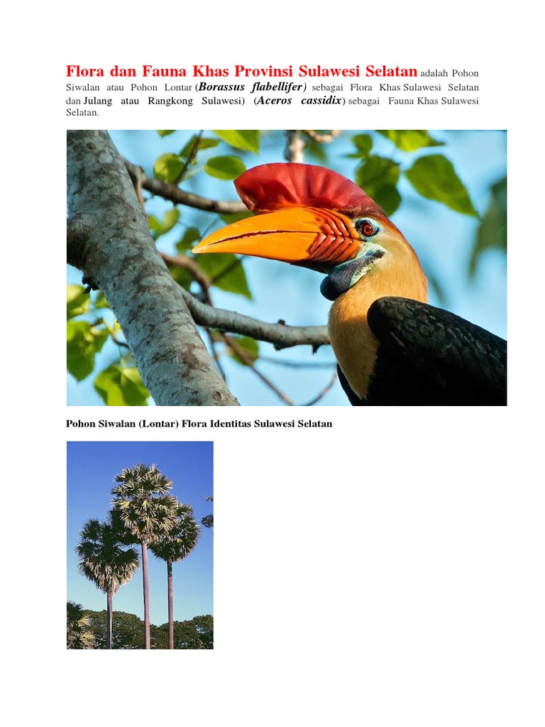 Flora Dan Fauna Khas Provinsi Sulawesi Selatan | PDF