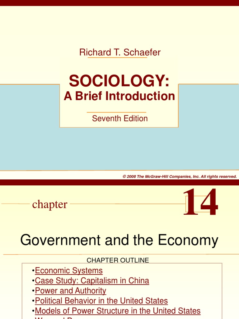 CH 14 - Government and Economy | PDF | Economic System | Capitalism