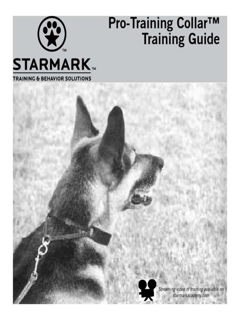 Pro Training Collar Guide 2011 | PDF | Obedience Training | Reinforcement