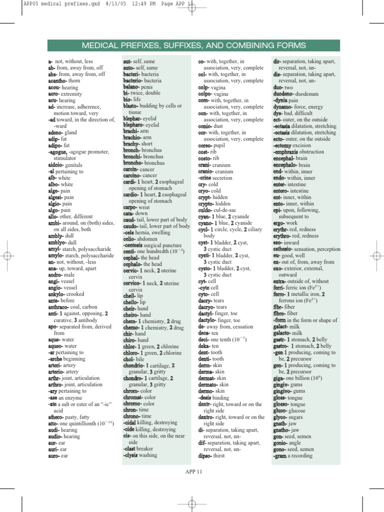 Medical Prefix Suffix PDF | Descargar gratis PDF | Lung | Thorax