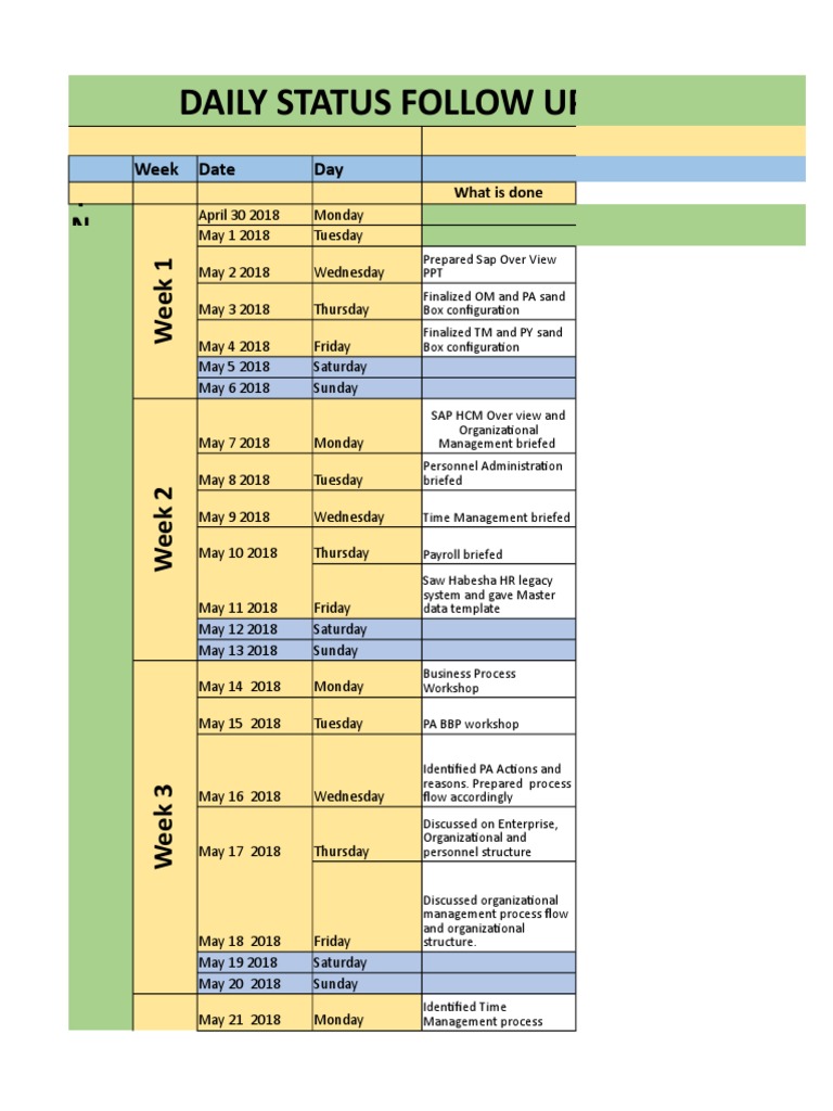Daily Status Followup Sheet - HCM R2 | PDF | Business Process ...