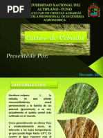 Morfologia Cebada 2020 | PDF | Cebada | Fertilizante