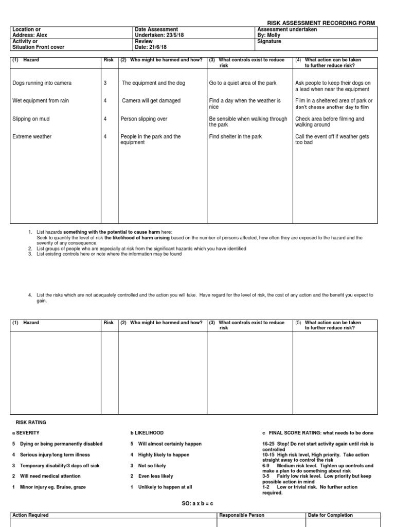 Risk Assessment Template Park | PDF | Hazards | Risk