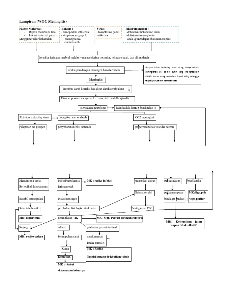 Kelompok 11.WOC Meningitis Pada Anak New | PDF