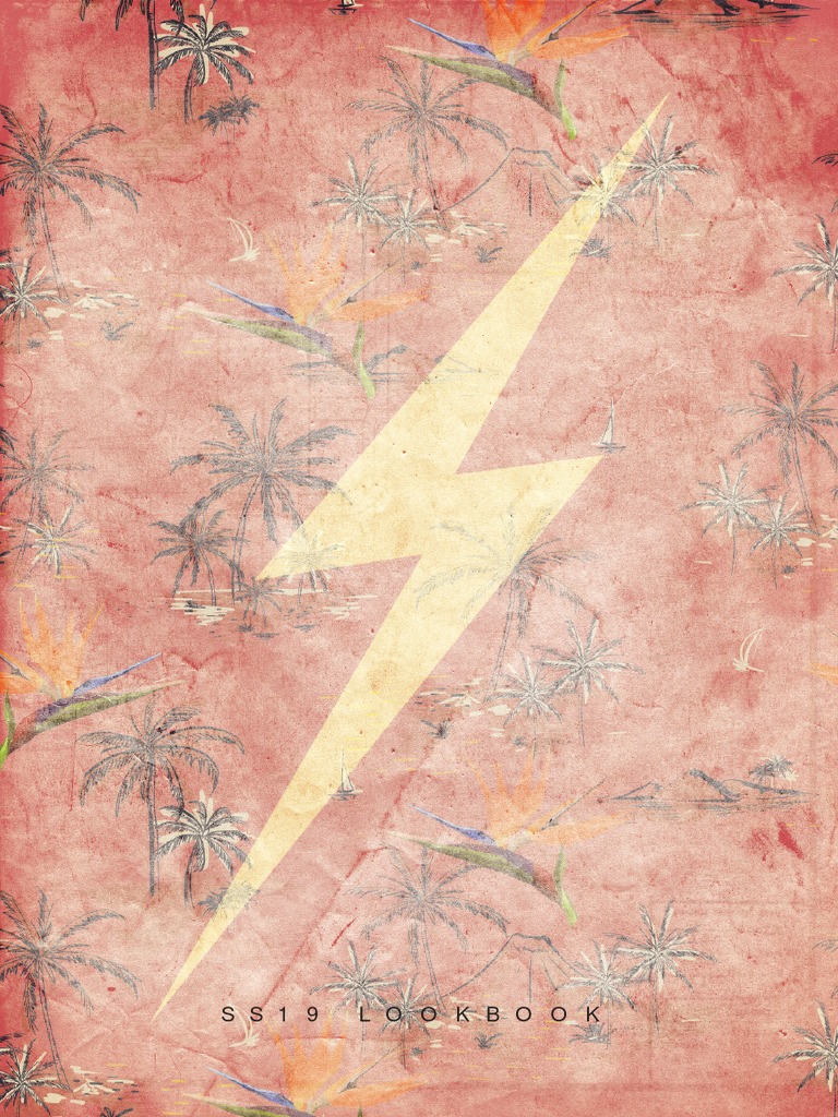 Lightning Bolt SS18 Collection Overview | PDF | Clothing