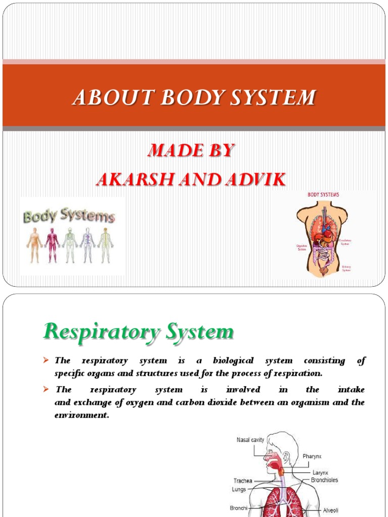 About Body System Project | PDF