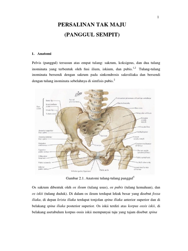 Persalinan Tak Maju Panggul Sempit | PDF