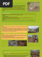 La Flora de La Puna Del Perú | PDF | Plantas | Organismos