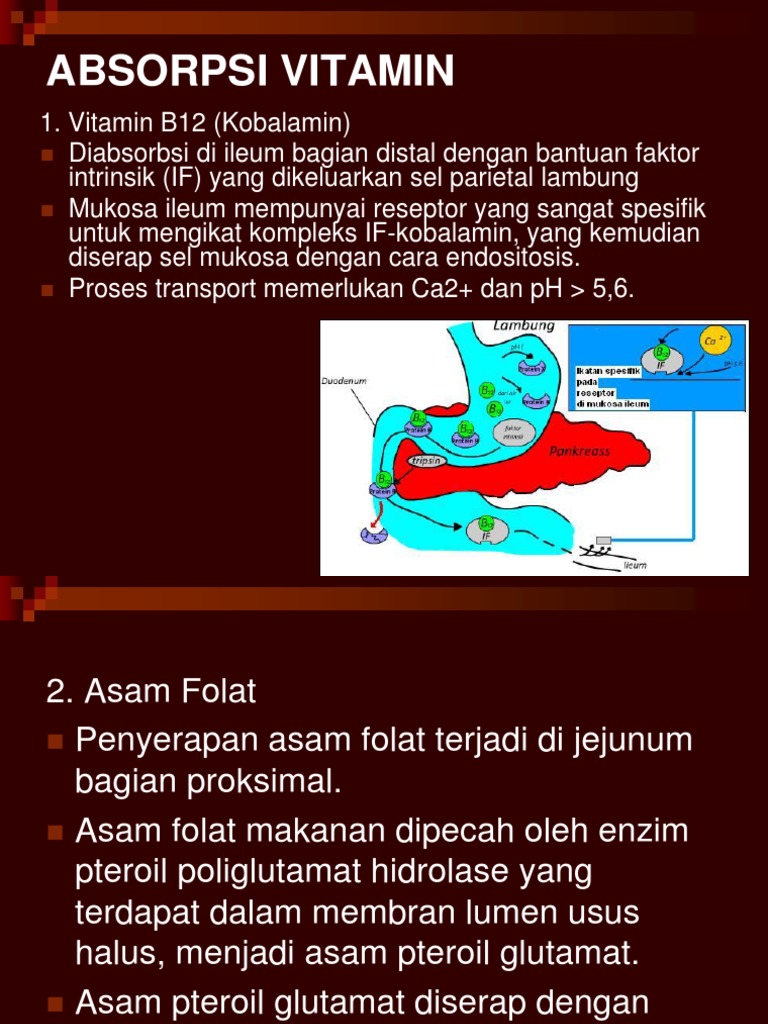 Absorbsi Vitamin (ANGGA) | PDF
