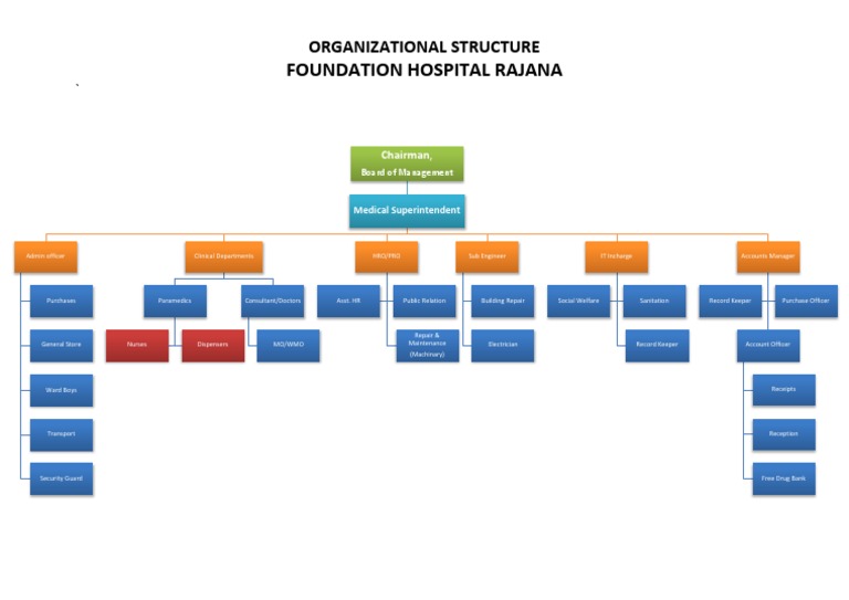 Foundation Hospital Rajana: Organizational Structure | PDF