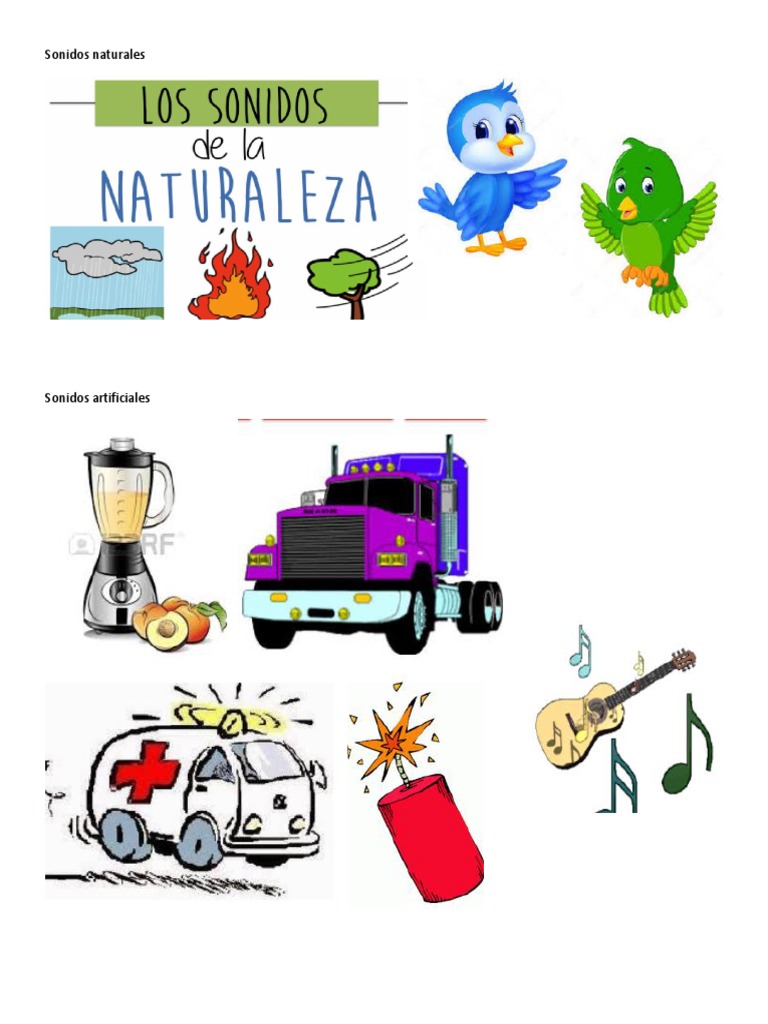 Sonidos Naturales, Artificiales | PDF