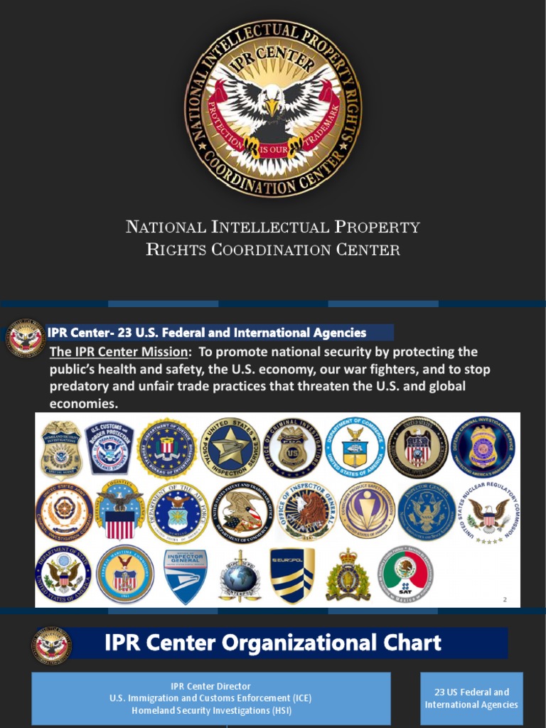 ICE-HSI - National IPR Center | PDF | Counterfeit | U.S. Customs And ...