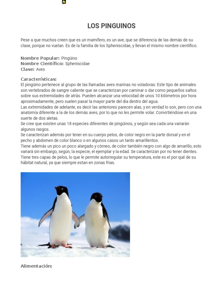Los Pinguinos | PDF | Ciencia y matemáticas