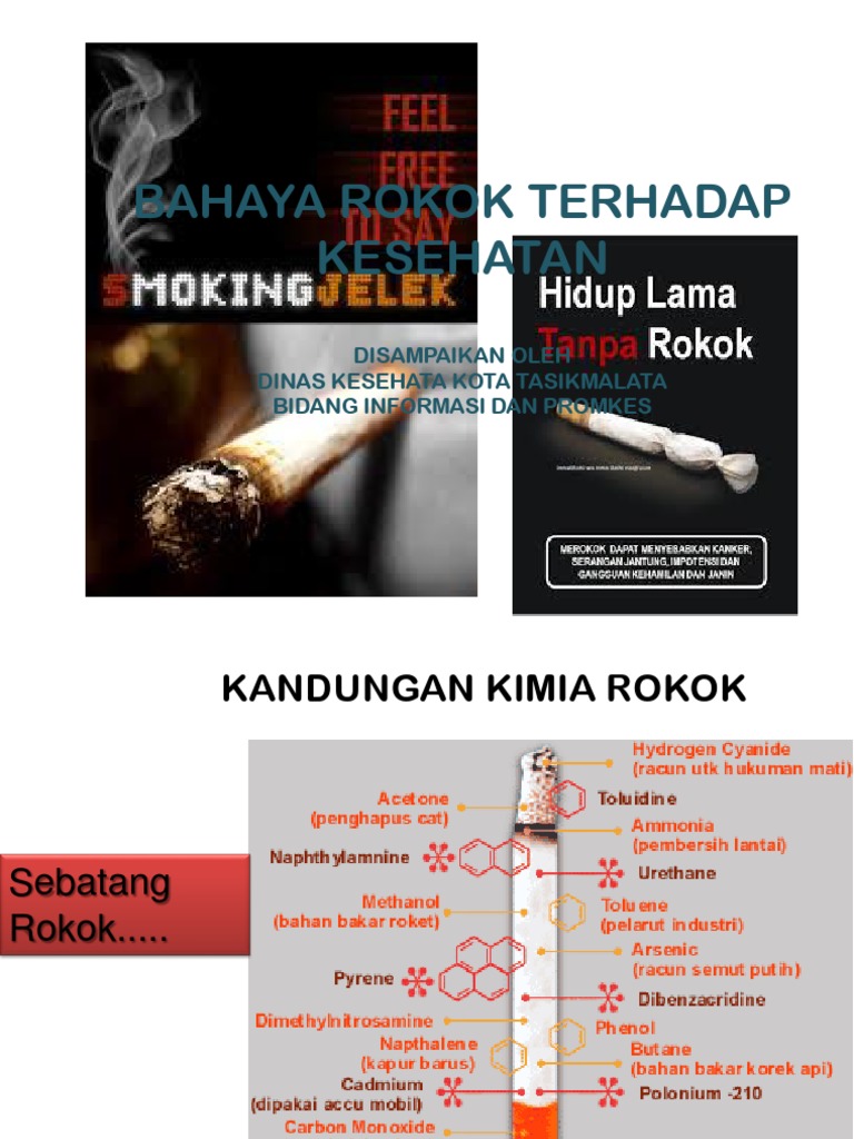 Presentasi Bahaya Rokok | PDF