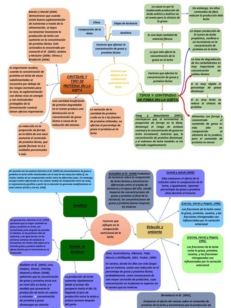 Mapa Mental de Factores Qu Alteran La Leche | PDF | Leche | Rumiante
