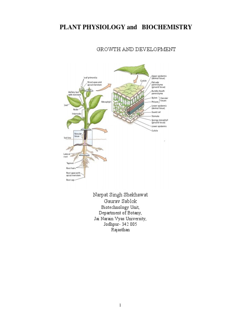 plant-physiology-and-biochemistry-pdf