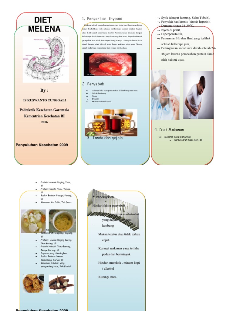 Leaflet Melena | PDF