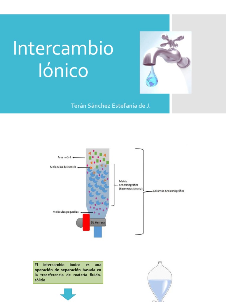Intercambio Ionico | Intercambio iónico | Sal (química)
