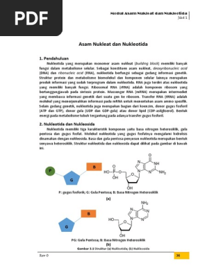 Gambarmolekulnukleotida