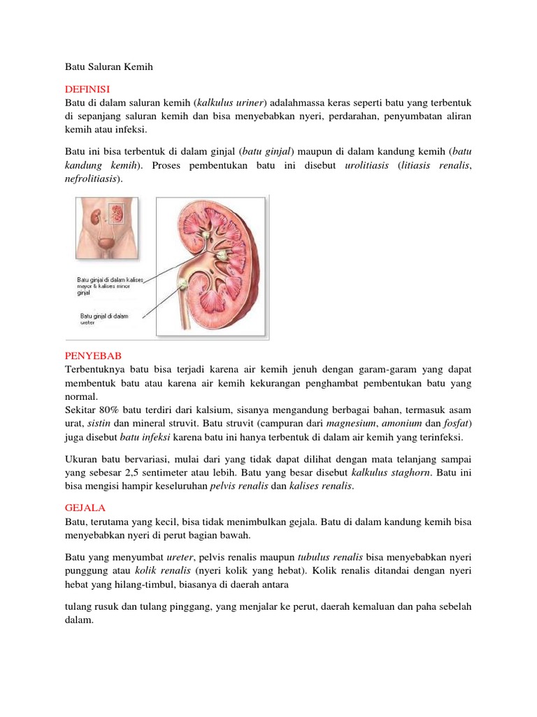 Batu Saluran Kemih | PDF