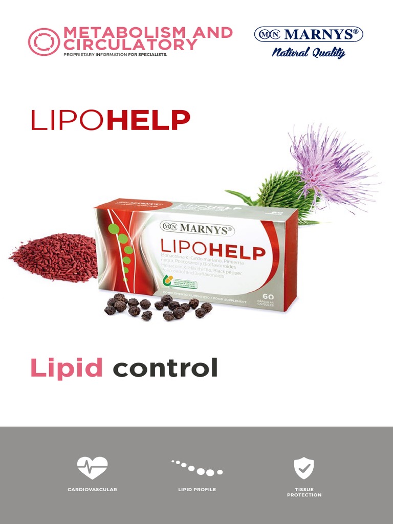 Lipohelp Pamphlet | PDF | Cardiovascular Diseases | Low Density Lipoprotein