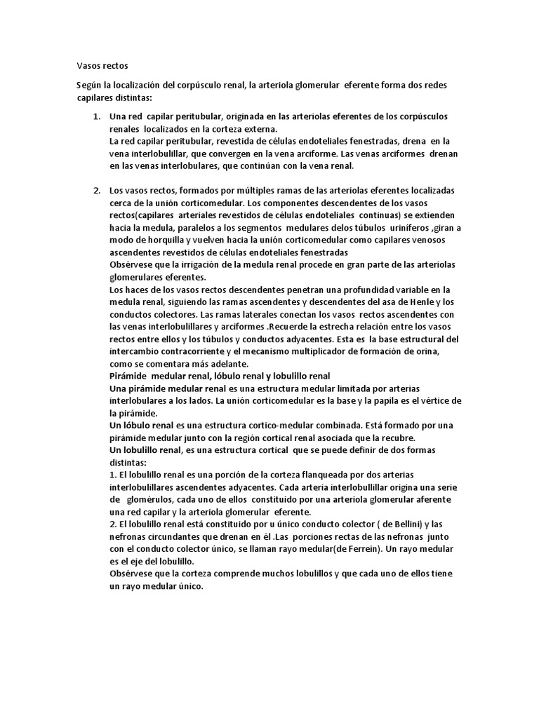 Anatomía de Vasos Renales y Lobulillos | PDF | Riñón | Abdomen