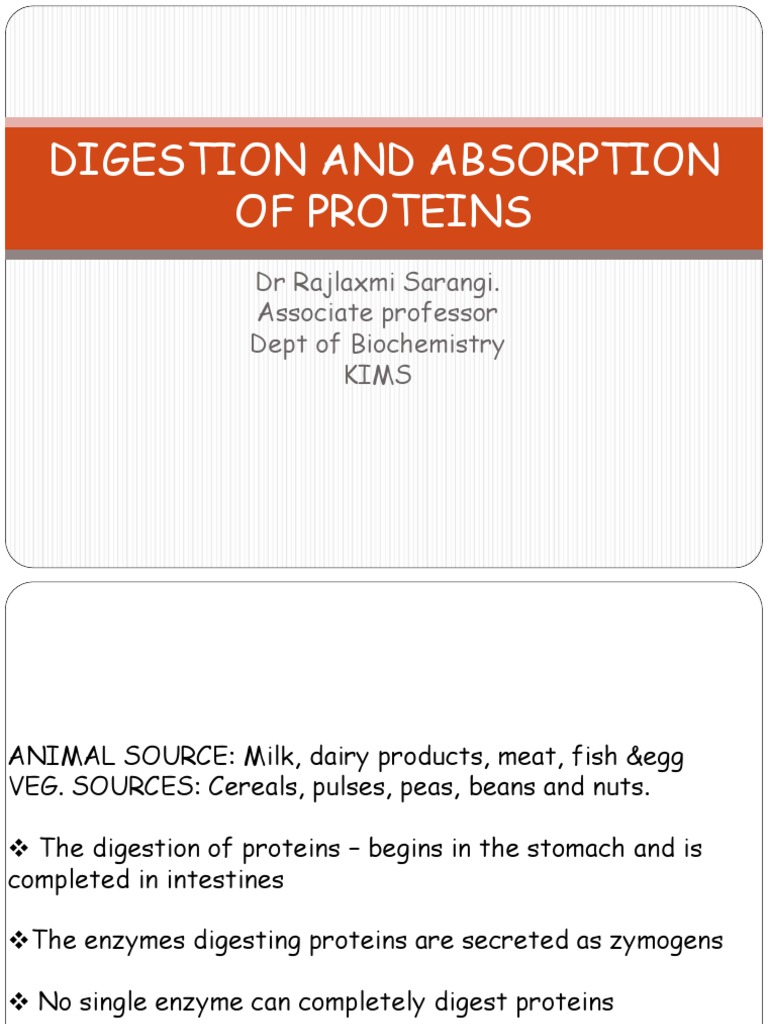 1.protein Digestion, Urea Cy, Mbbs | PDF | Transaminase | Trypsin