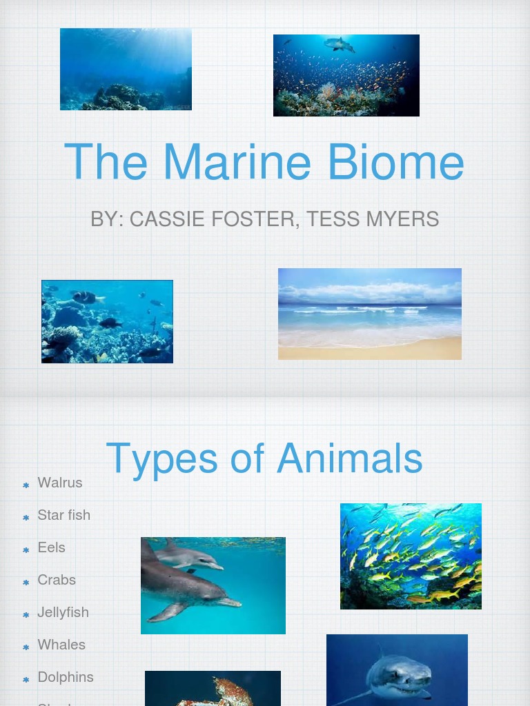 Marine Biome | PDF