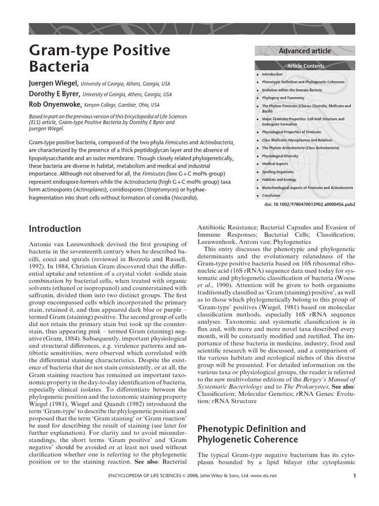 Gram Positive | PDF | Gram Positive Bacteria | Bacteria