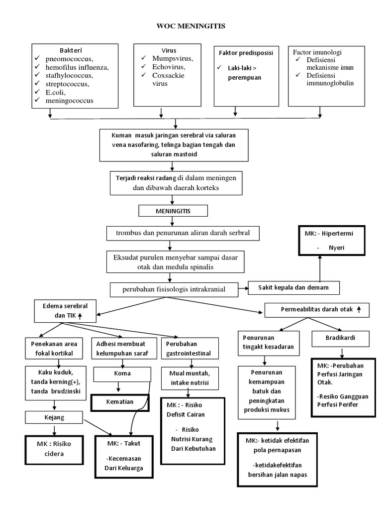 Woc Meningitis Anak KLMPK 12 | PDF