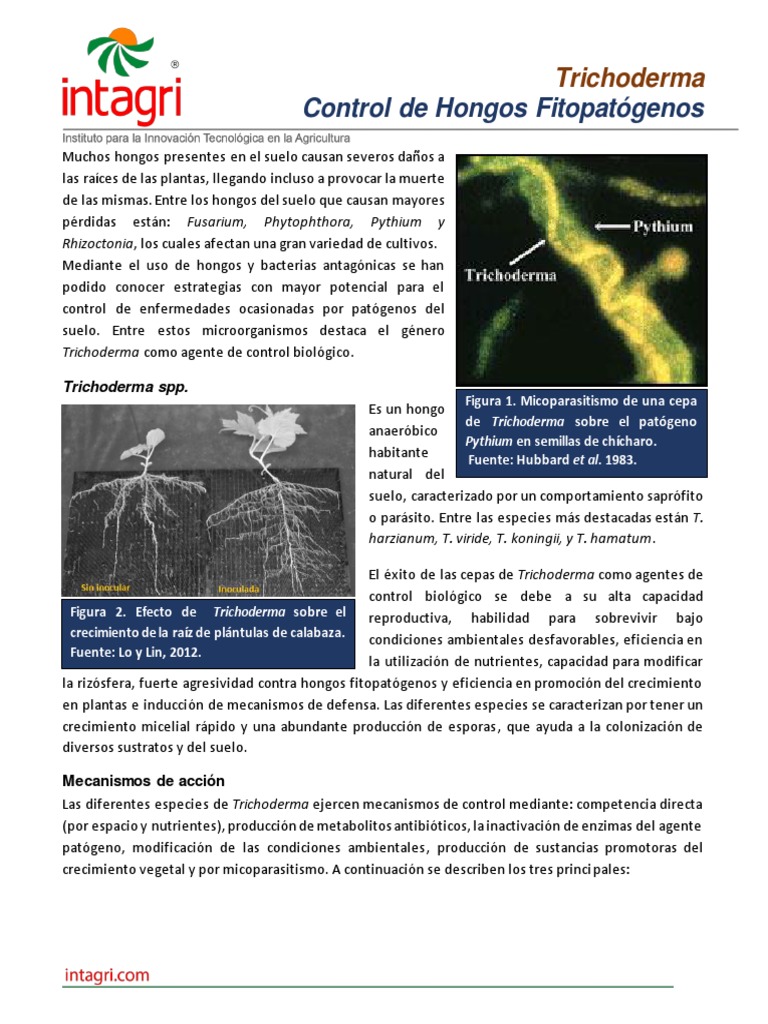 Trichoderma. Control de Hongos Fitopatogenos | PDF | Insectos beneficiosos | Hongo