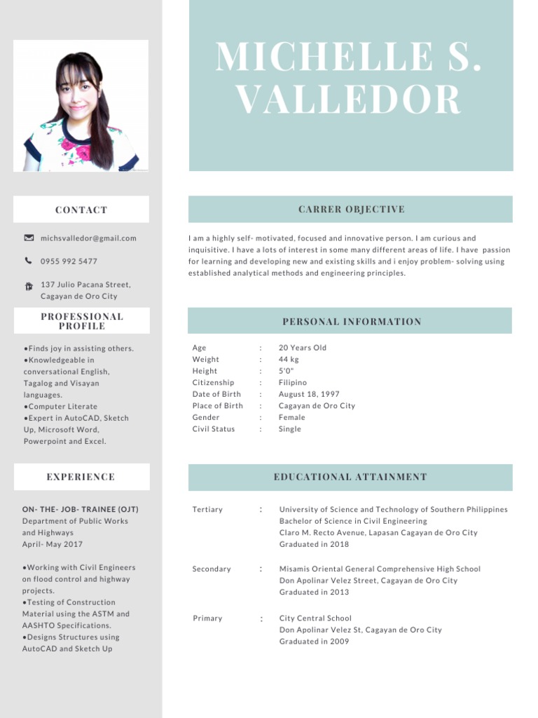 Engineering Resume 2x2 Id | PDF | Science And Technology | Cognition