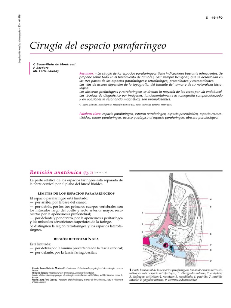 Cirugia Del Espacio Parafaringeo PDF | PDF | Anatomía humana | Cabeza y ...