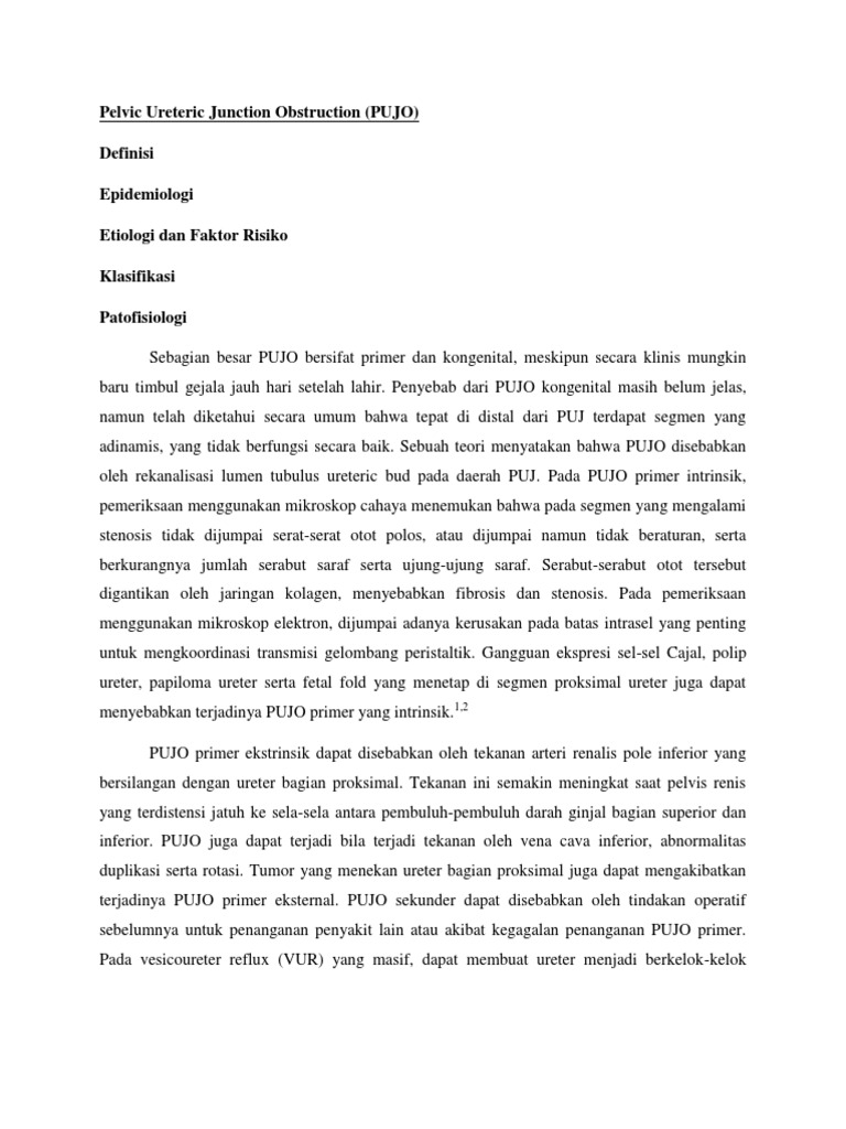 Pelvic Ureteric Junction Obstruction | PDF