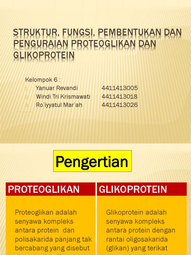 Proteoglikan Dan Glikoprotein | PDF