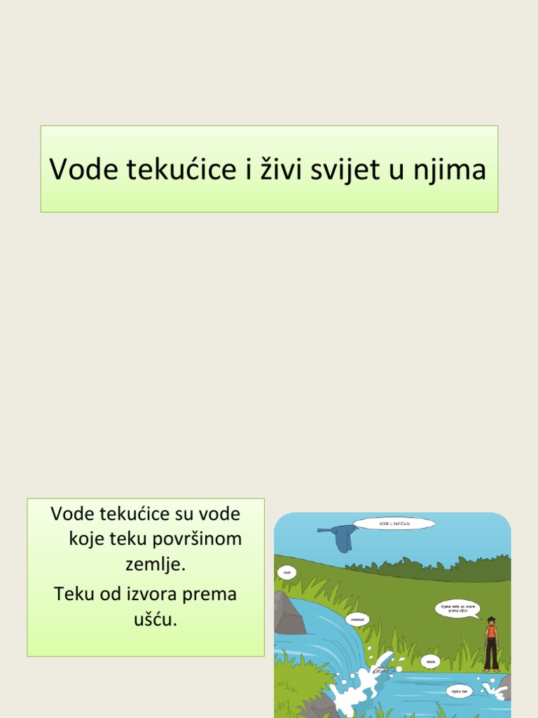 Vode Tekucice I Zivi Svijet U Njima 3.r. | PDF