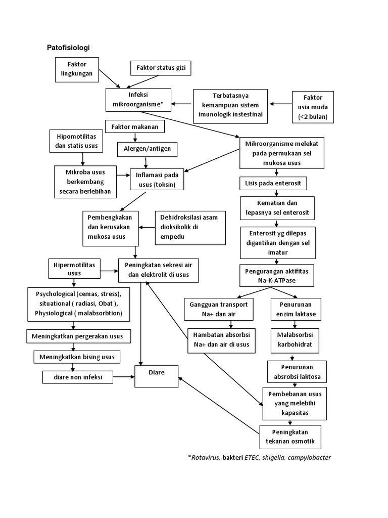 Patofisiologi Diare