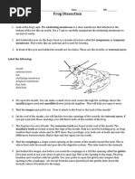 Frog Dissection Lab Report Student | PDF | Frog | Anatomical Terms Of ...