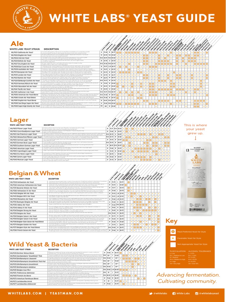 Yeast Guide Poster PDF | PDF | Nature