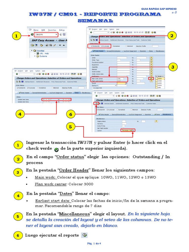 Guia Rapida Sap Mp0030 (Iw37n-Cm01 Reporte Programa Semanal) V 0 | PDF ...
